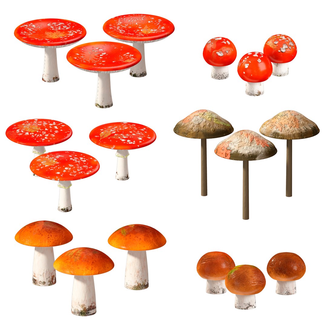 Mushrooms Set 3D Model - TurboSquid 1982239