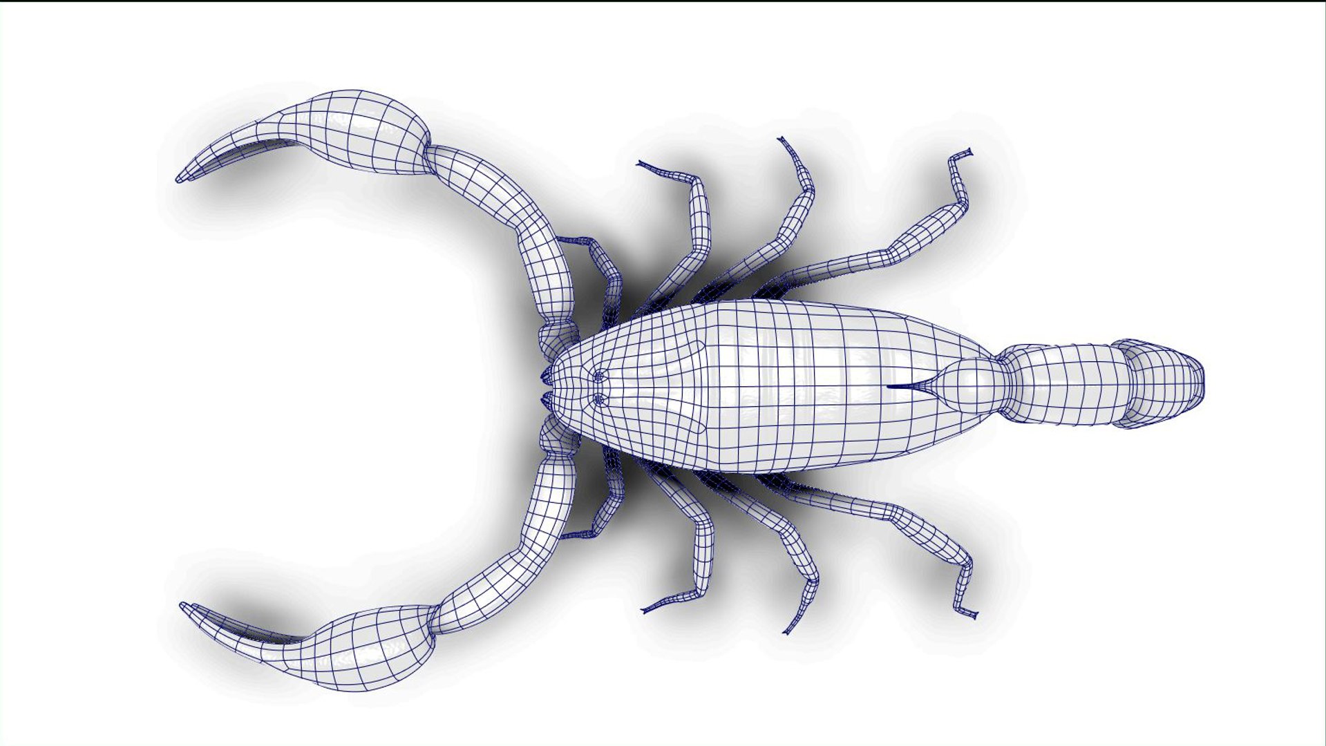 Scorpion Rig Animation 3d Model