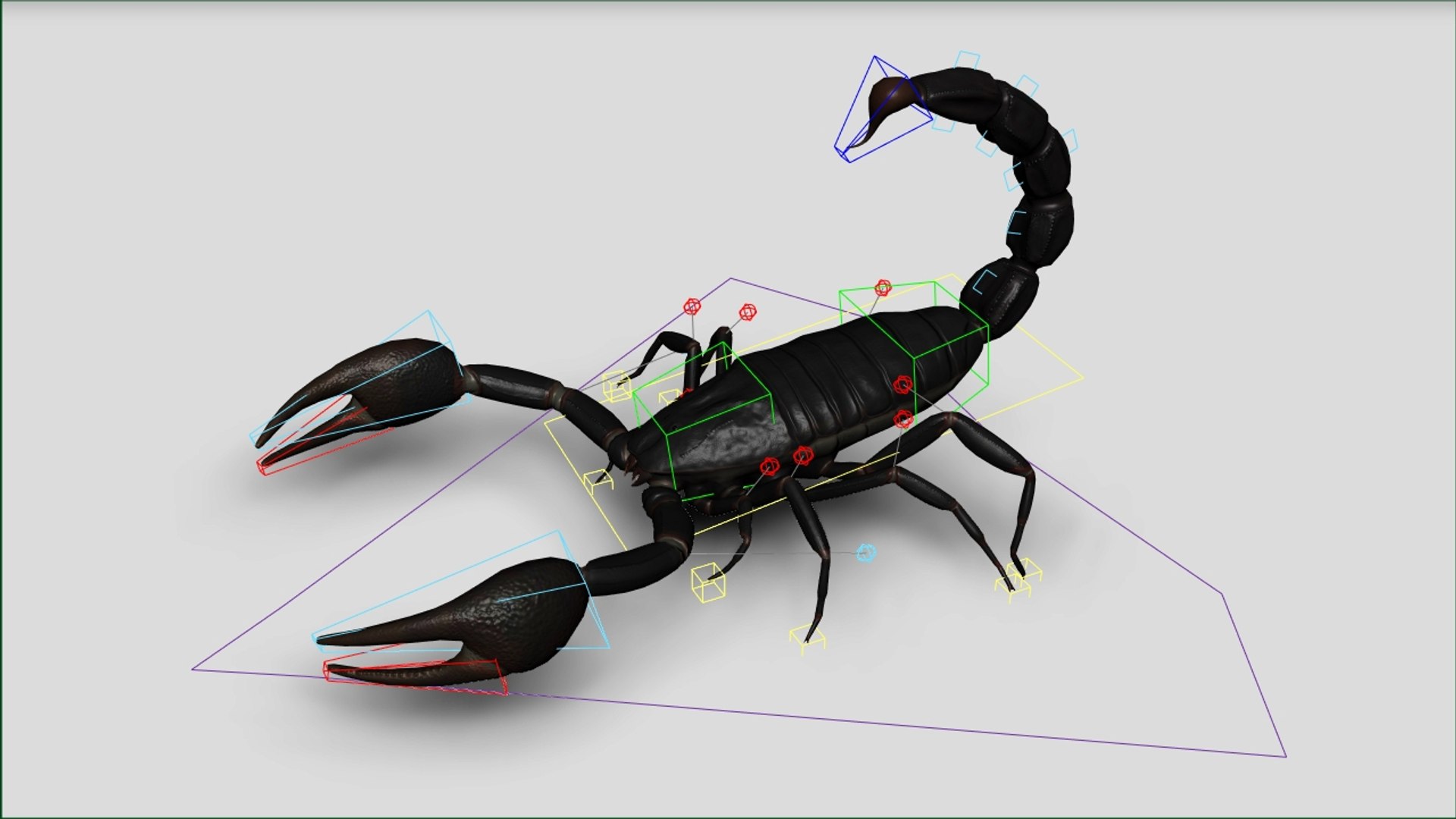 Scorpion Rig Animation 3d Model