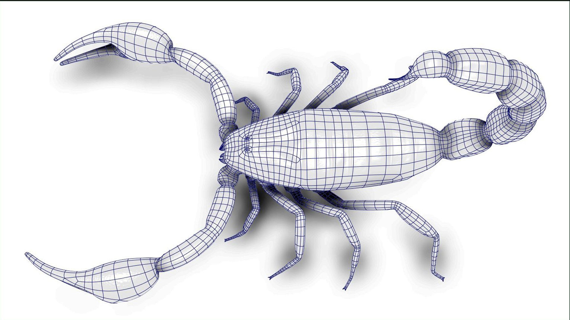 Scorpion Rig Animation 3d Model