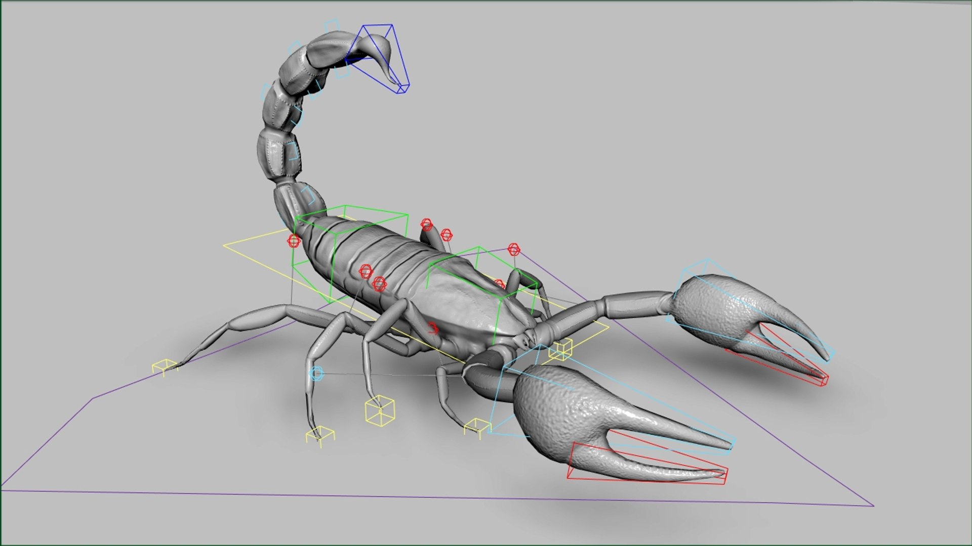 Scorpion Rig Animation 3d Model