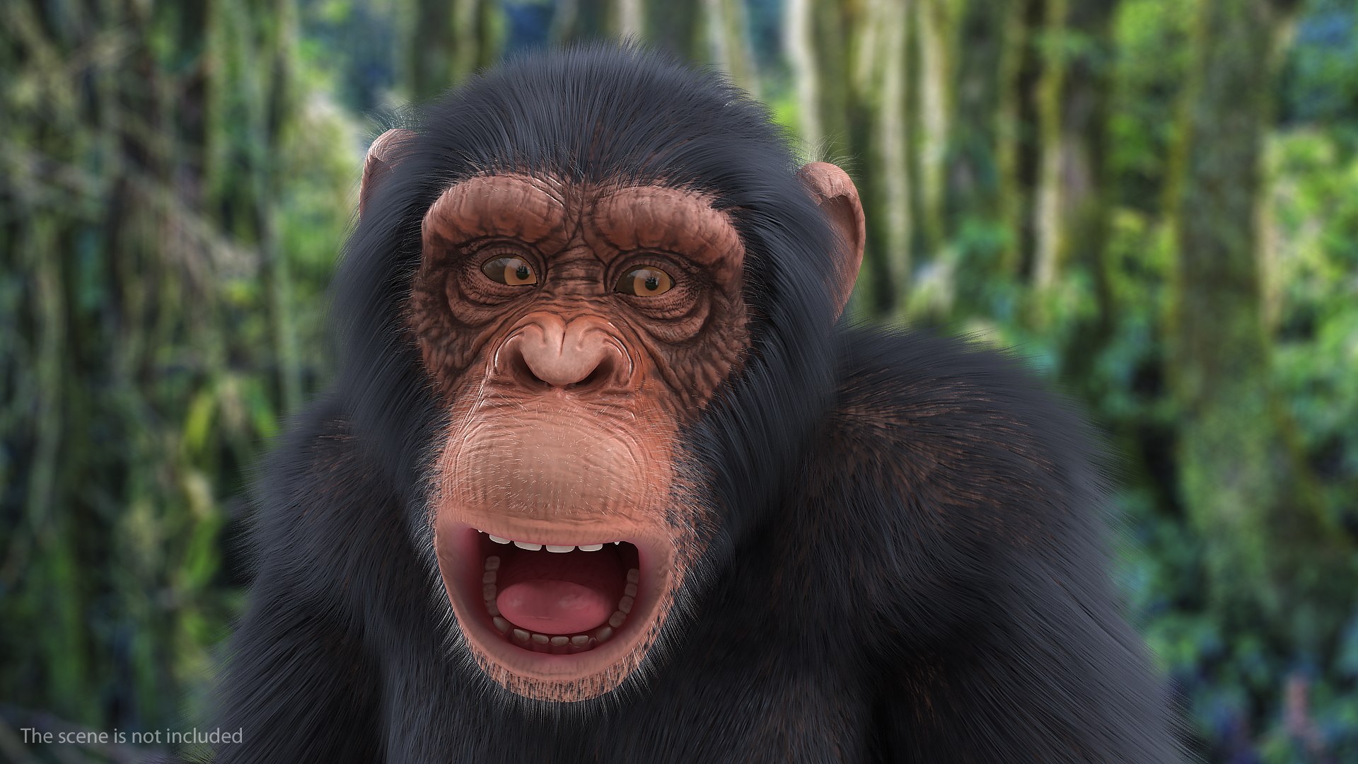 Chimpanzee walking light skin fur 3D - TurboSquid 1435956