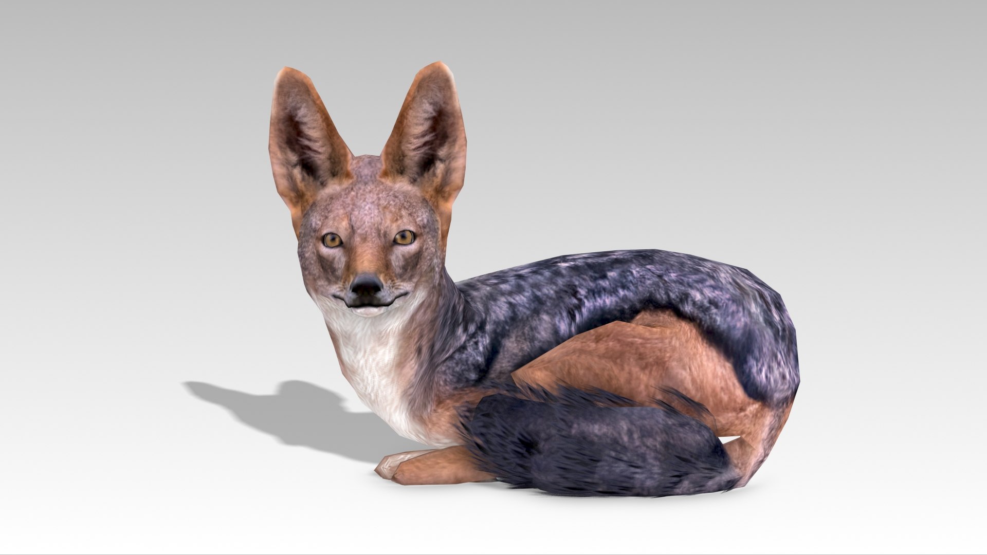 Jackal Model - TurboSquid 2075050