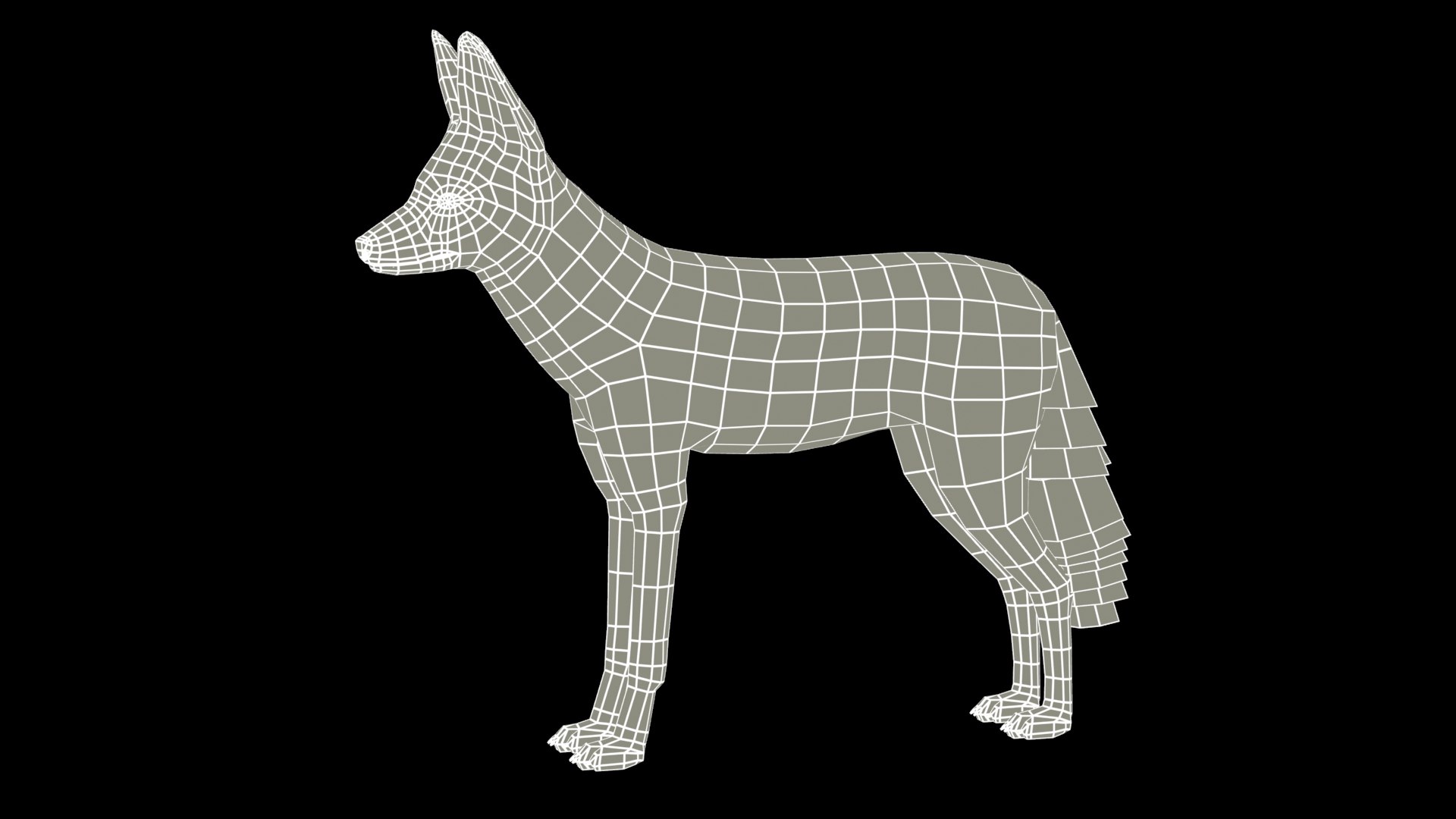 Jackal Model - TurboSquid 2075050