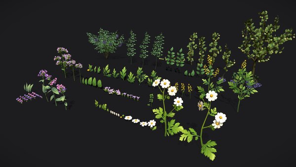 Pack Stylized handpainted plants and sprigs 3D 모델 - TurboSquid 2056992