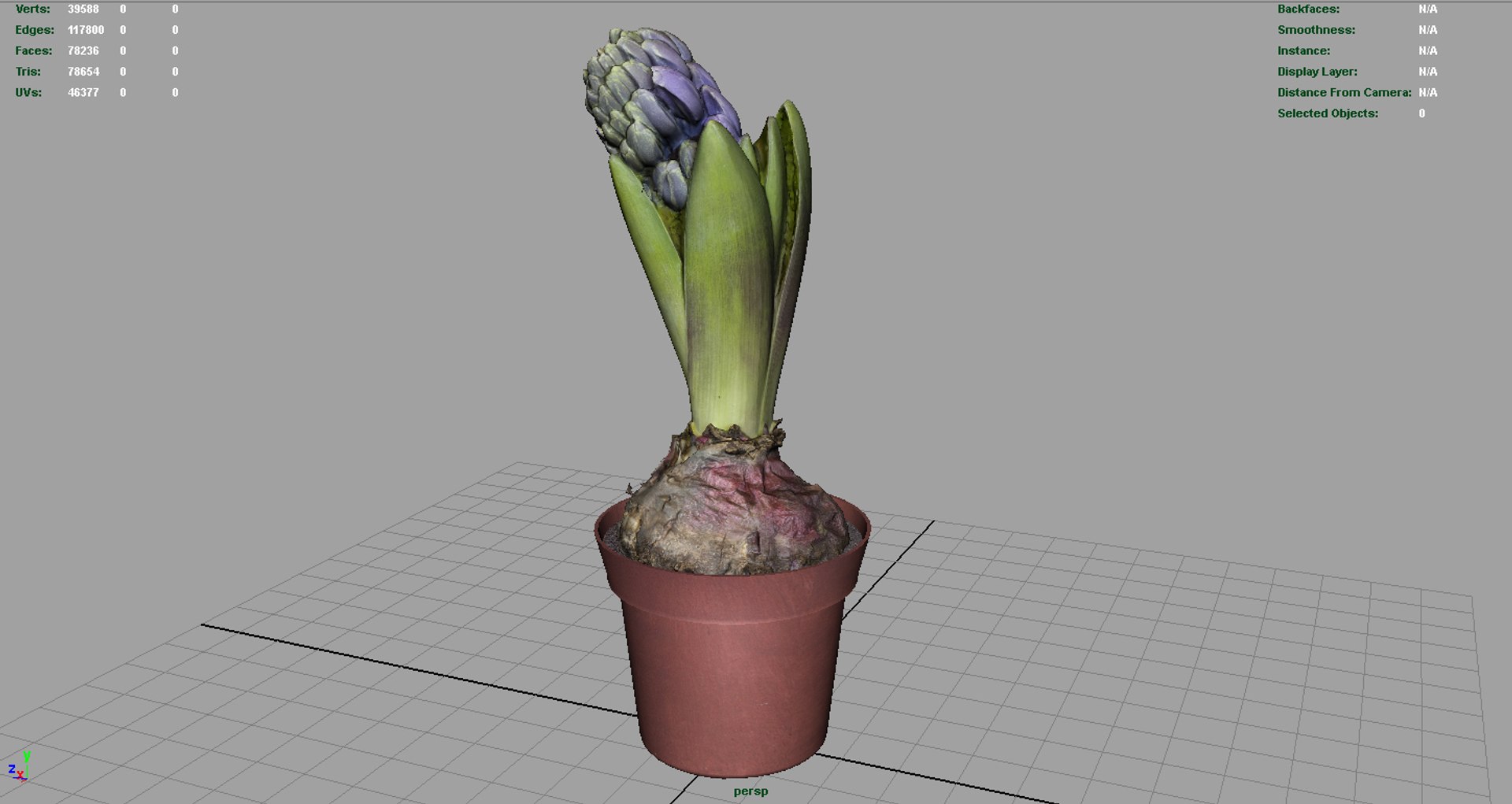 3d plant