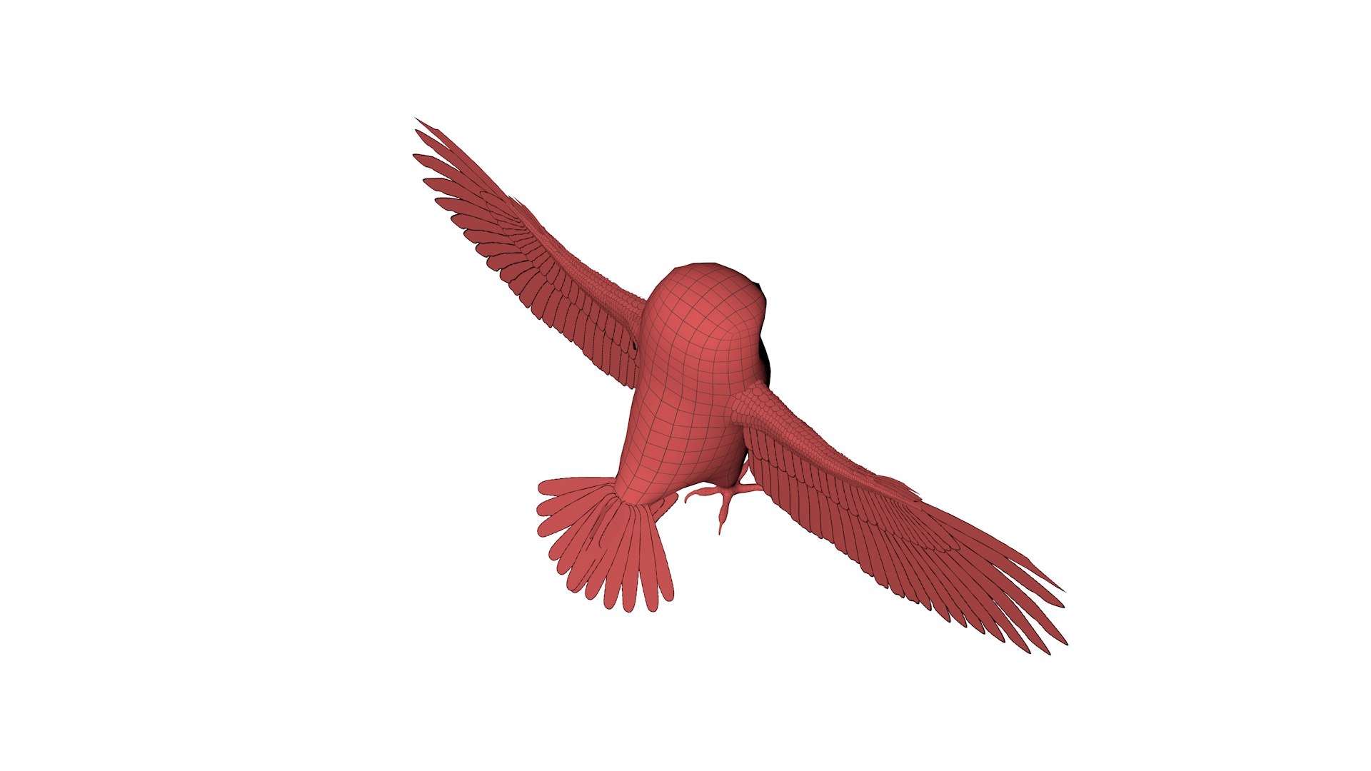 3D Mesh Owl Model - TurboSquid 1660586
