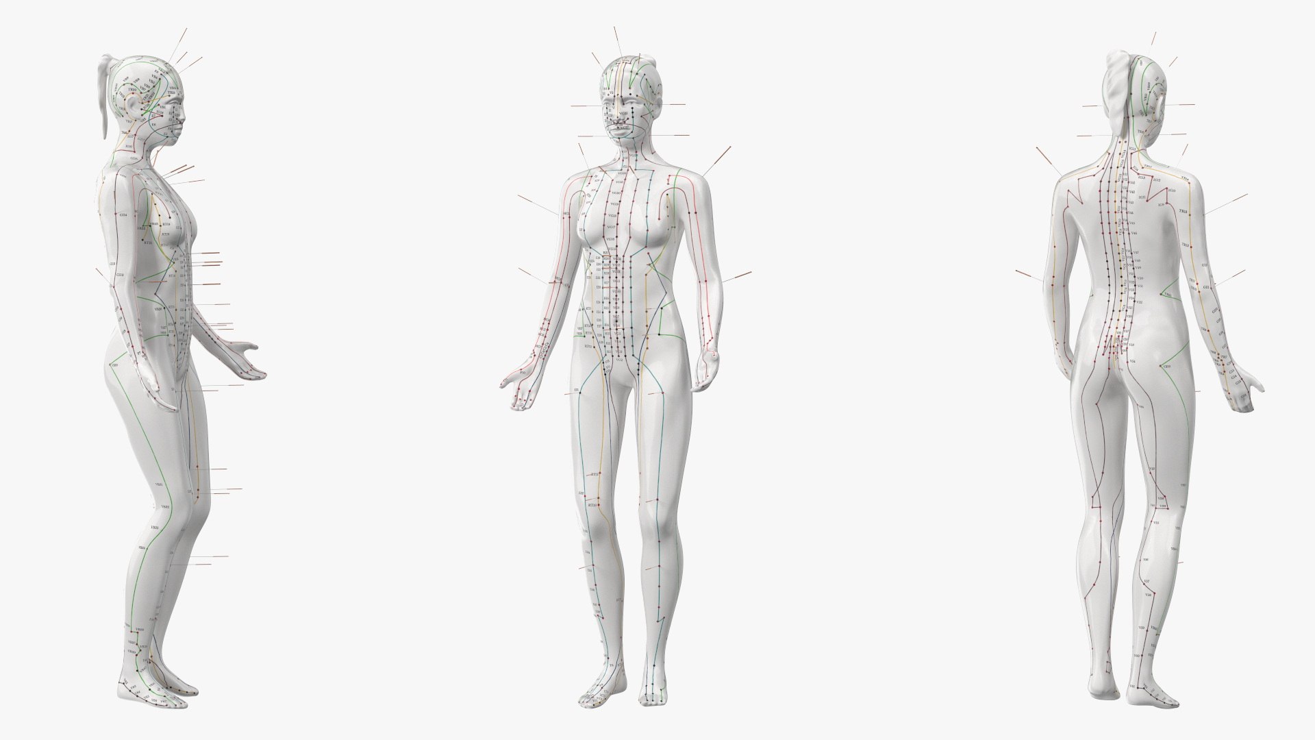 Female Acupuncture Mannequin On The Couch 3D Model - TurboSquid 2252650
