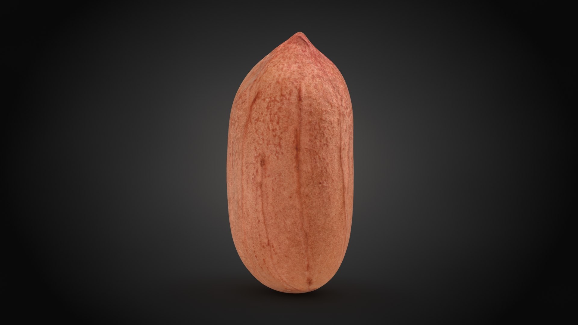 Peanut Kernel Collection 3D Model - TurboSquid 1960835
