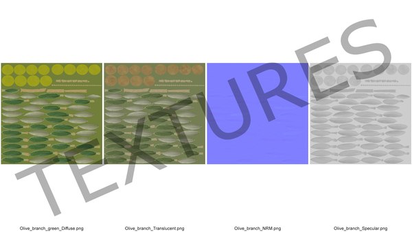 Olive Tree Branch No Olives 3D model - TurboSquid 1944944