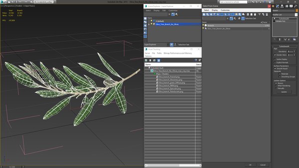 Olive Tree Branch No Olives 3D model - TurboSquid 1944944