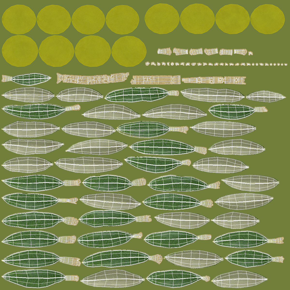 Olive Tree Branch No Olives 3D model - TurboSquid 1944944