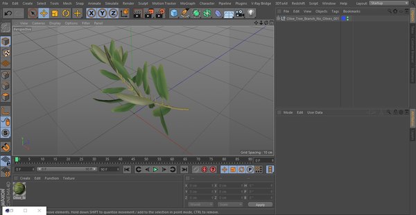 Olive Tree Branch No Olives 3D model - TurboSquid 1944944