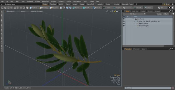 Olive Tree Branch No Olives 3D model - TurboSquid 1944944