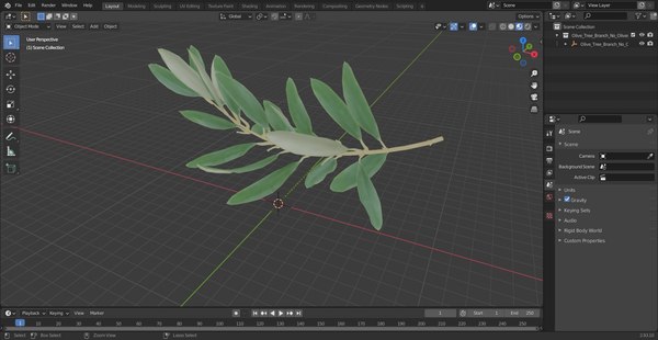Olive Tree Branch No Olives 3D model - TurboSquid 1944944