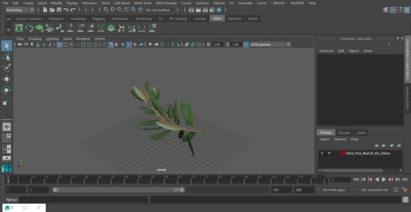 Olive Tree Branch No Olives 3D model - TurboSquid 1944944