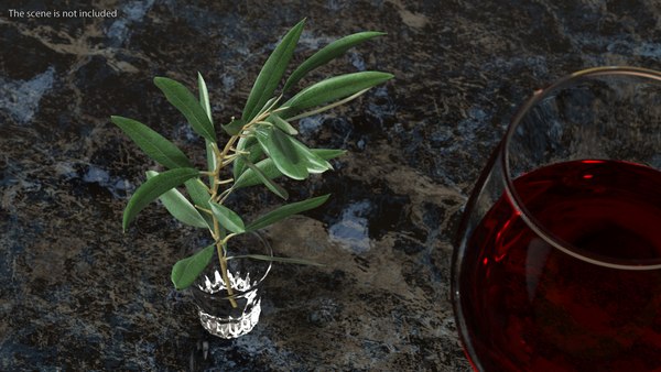 Olive Tree Branch No Olives 3D model - TurboSquid 1944944