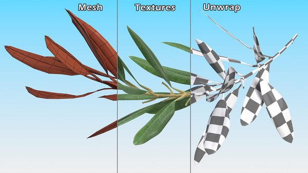 Olive Tree Branch No Olives 3D model - TurboSquid 1944944
