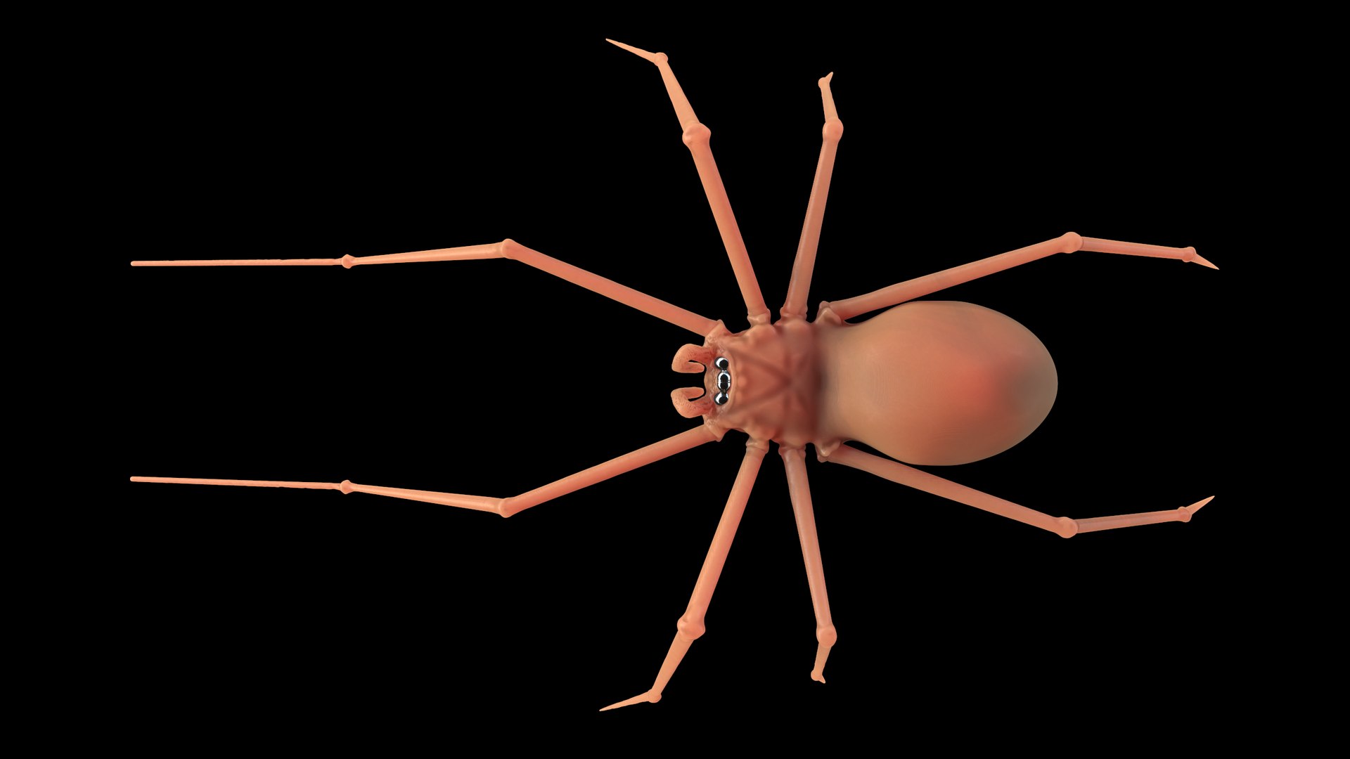 3D Spider - TurboSquid 1373420