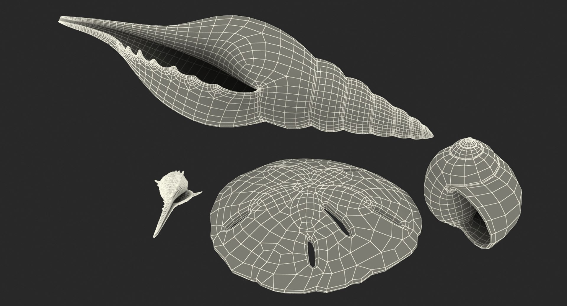 Sea shells 3D model | 1143933 | TurboSquid