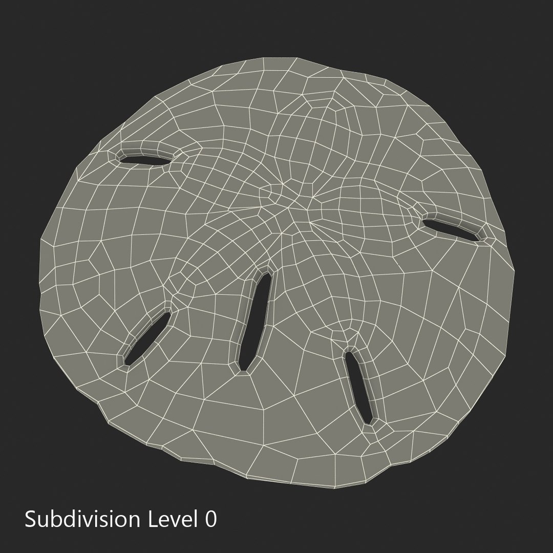 Sea shells 3D model | 1143933 | TurboSquid