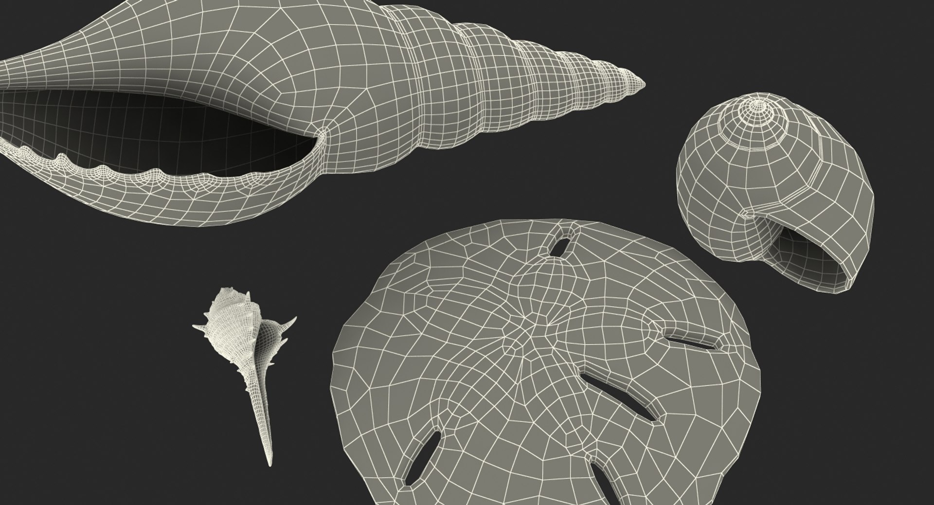 Sea shells 3D model | 1143933 | TurboSquid