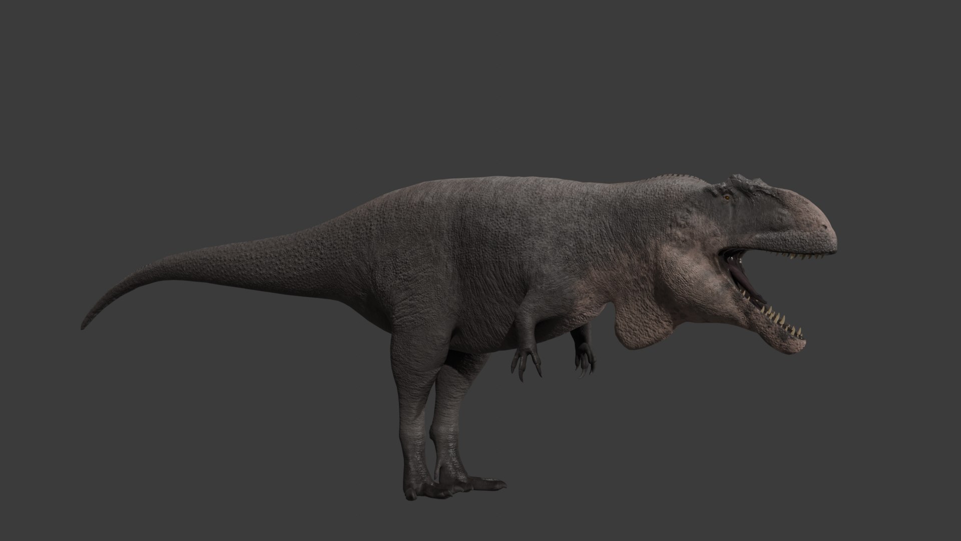 Realistic Giganotosaurus Rigged Lowpoly Model Model - TurboSquid 2367597