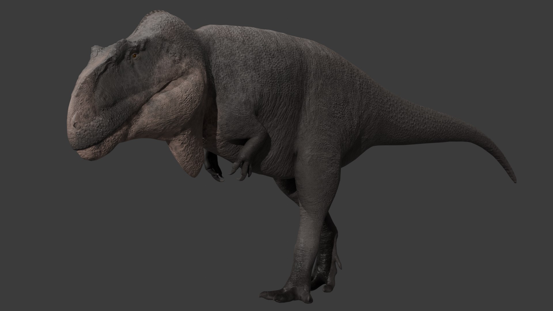 Realistic Giganotosaurus Rigged Lowpoly Model Model - TurboSquid 2367597