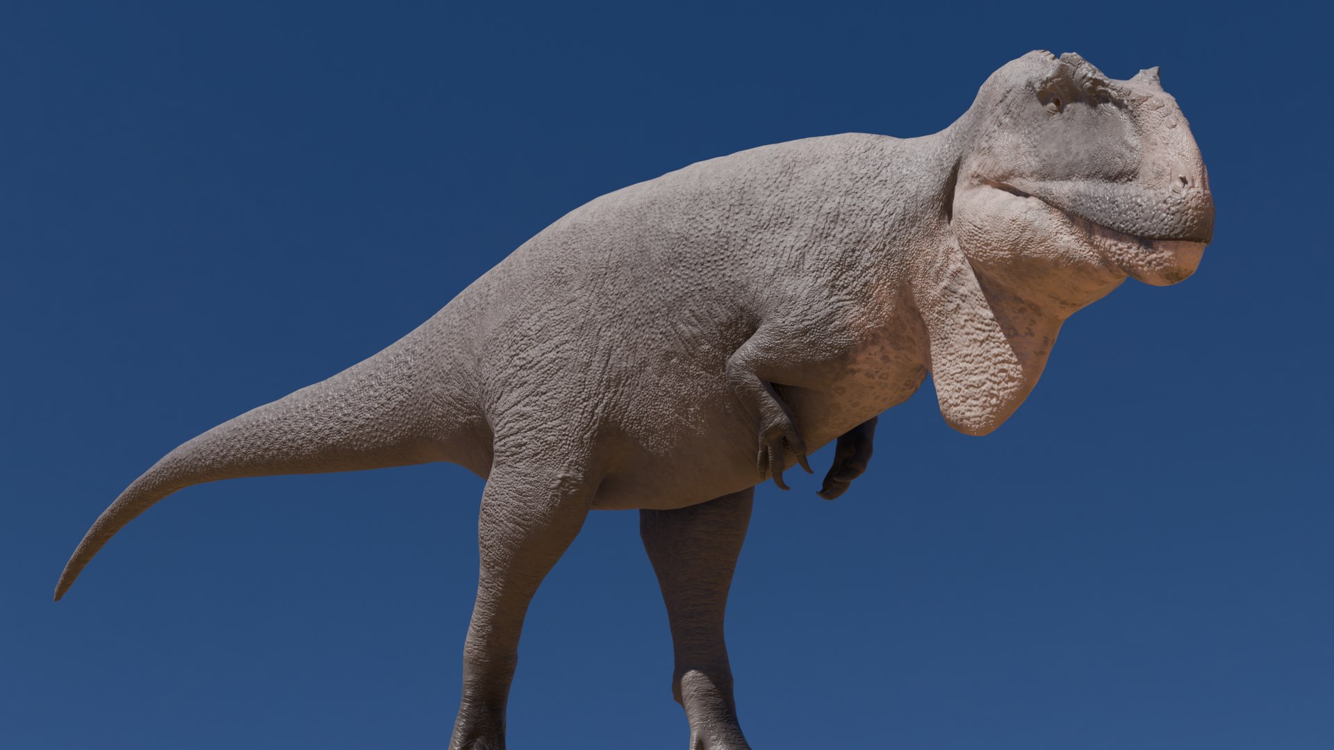 Realistic Giganotosaurus Rigged Lowpoly Model Model - TurboSquid 2367597