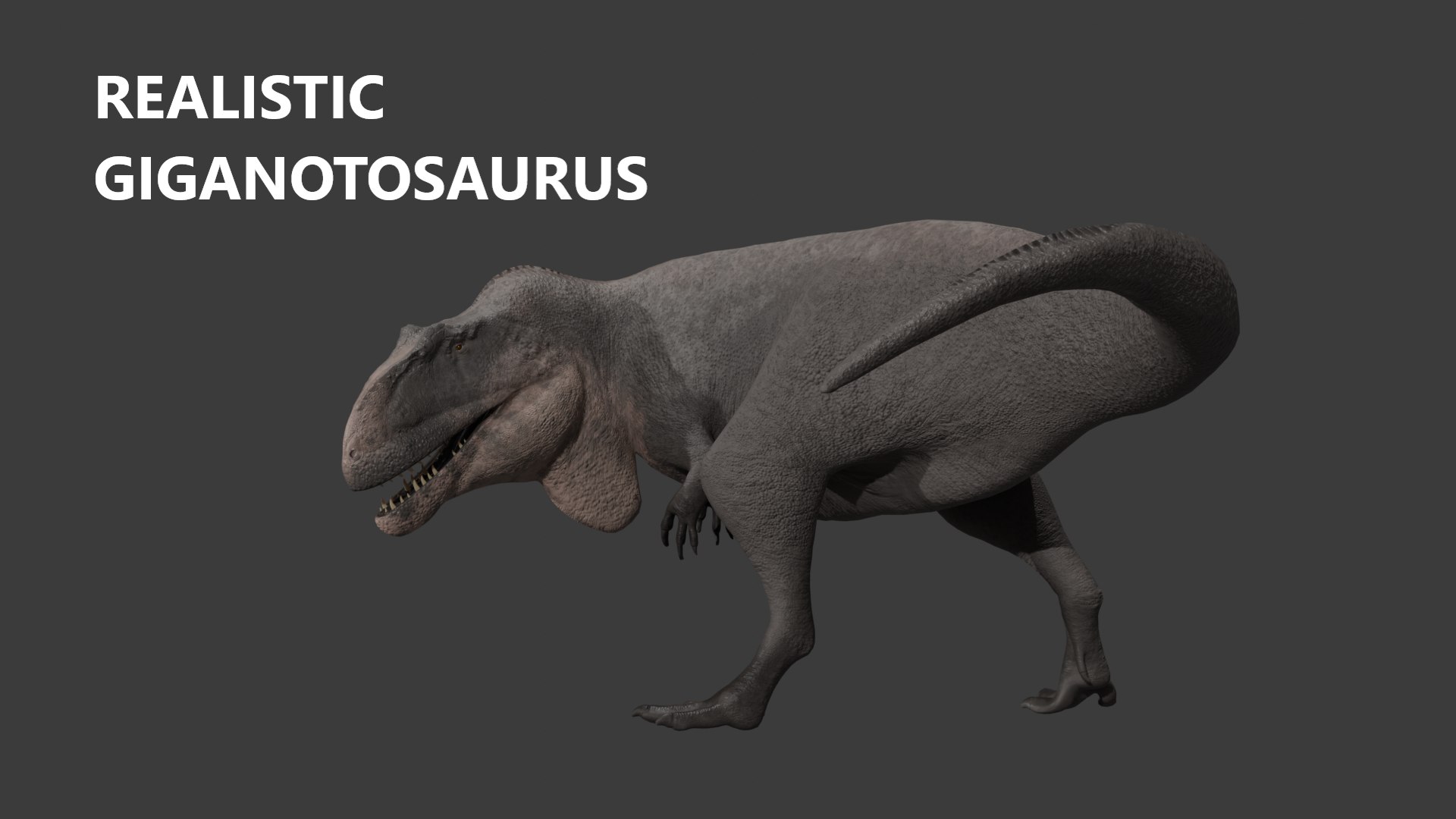 Realistic Giganotosaurus Rigged Lowpoly Model Model - TurboSquid 2367597