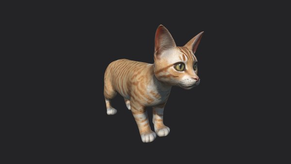 modelo 3d Modelo 3D de gato 001 - TurboSquid 2357032