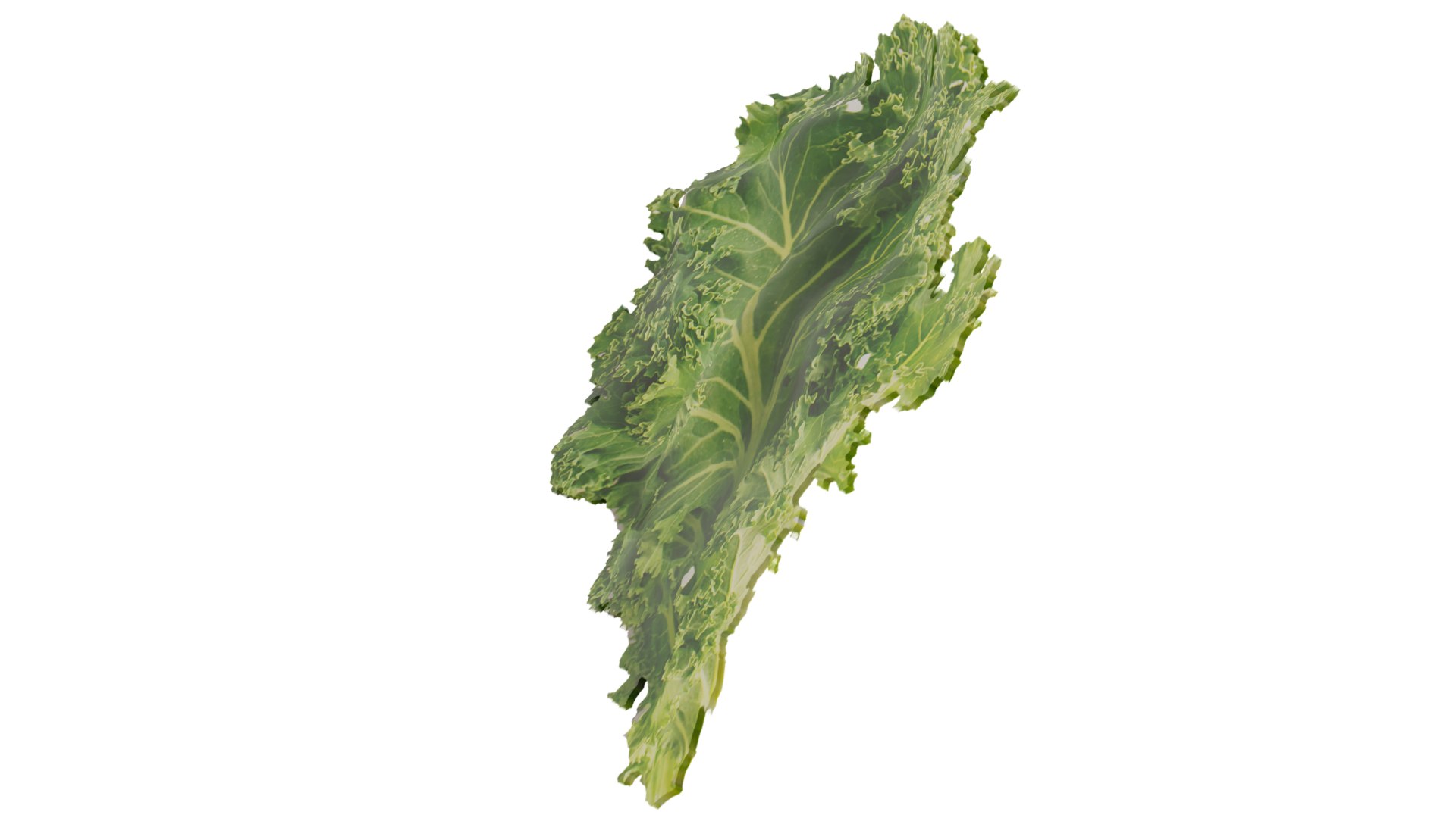 Kale 3D Model - TurboSquid 1922089