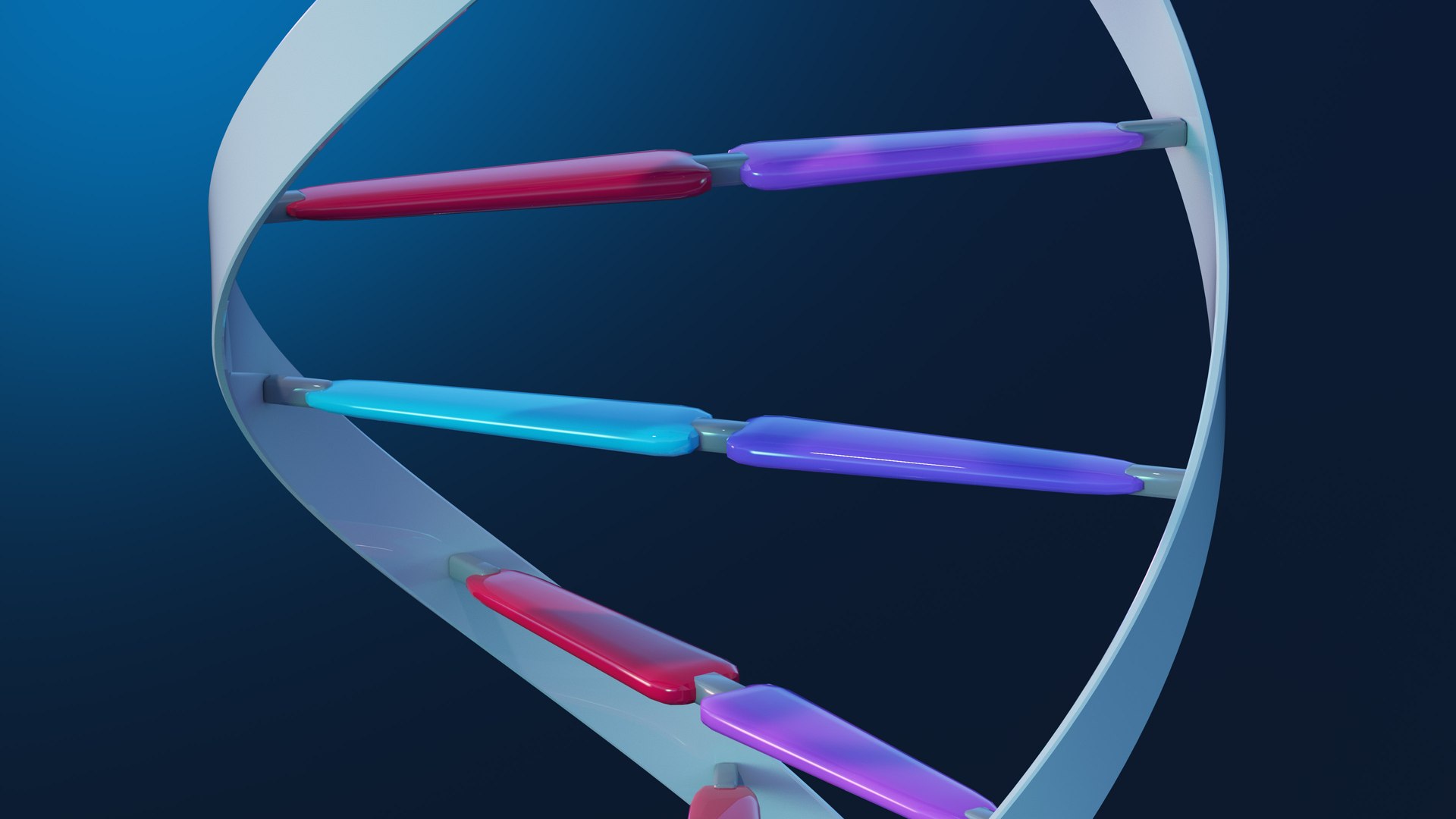 3D DNA Model - TurboSquid 2017249