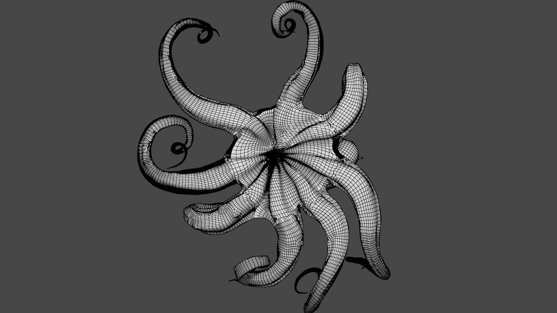 Giant Pacific Octopus 3D Model - TurboSquid 2034536