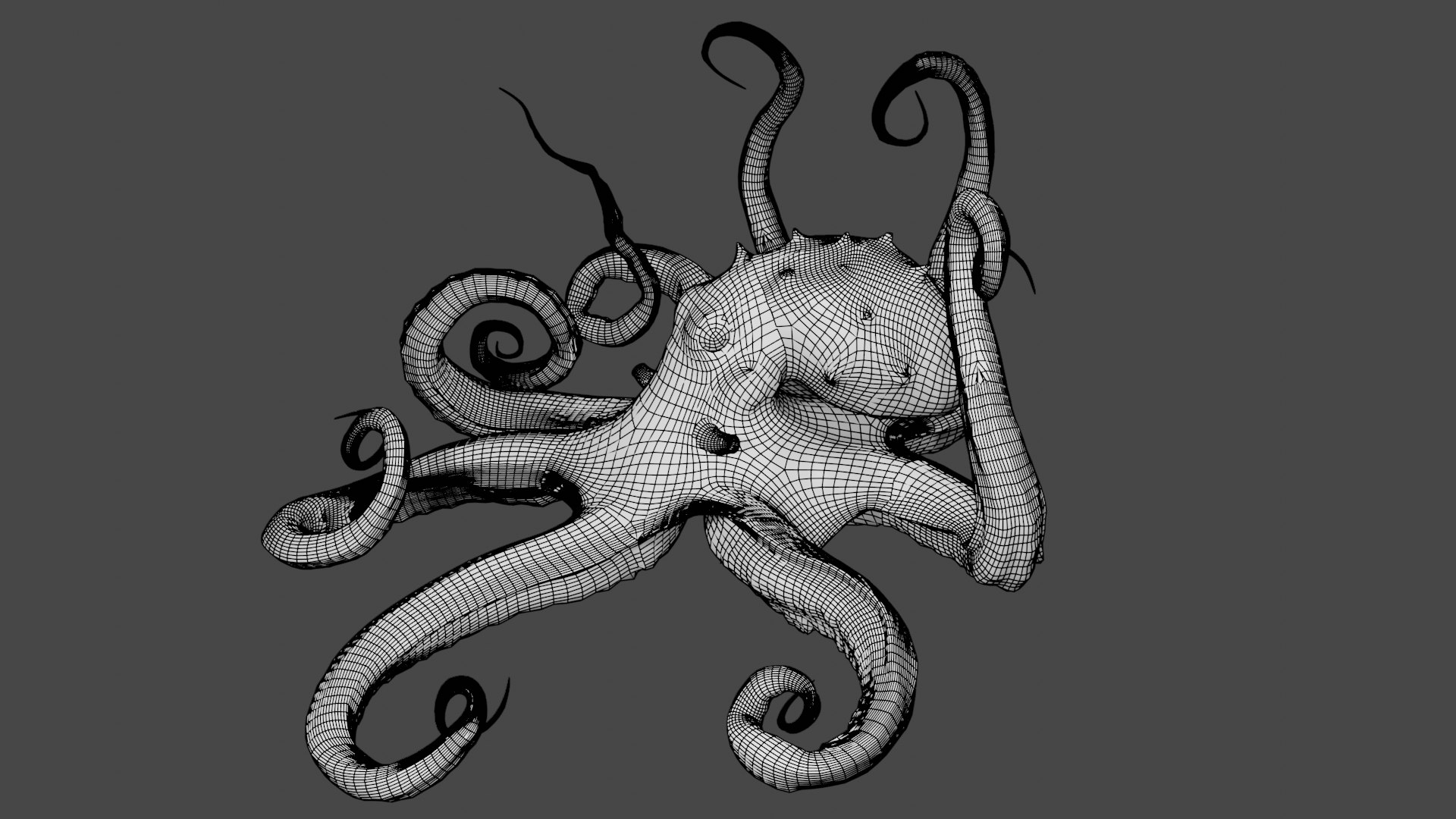 Giant Pacific Octopus 3D Model - TurboSquid 2034536