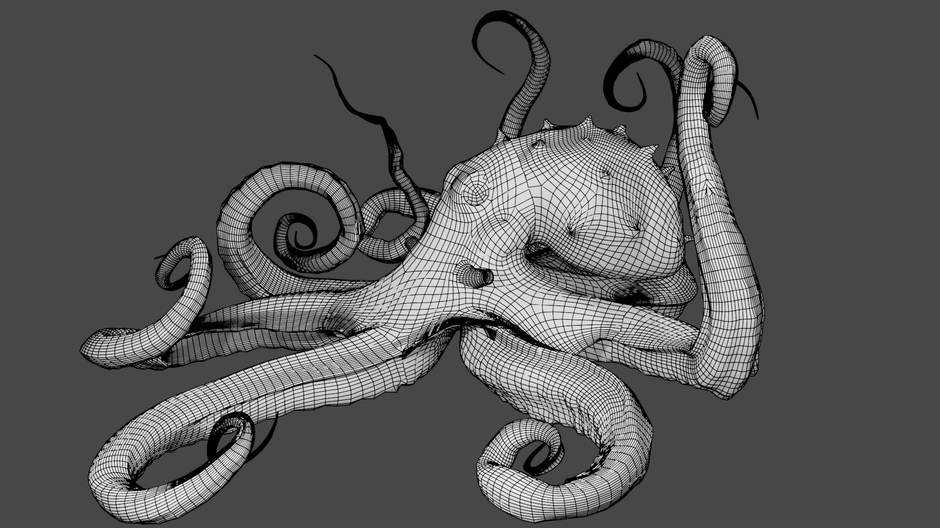 Giant Pacific Octopus 3D Model - TurboSquid 2034536