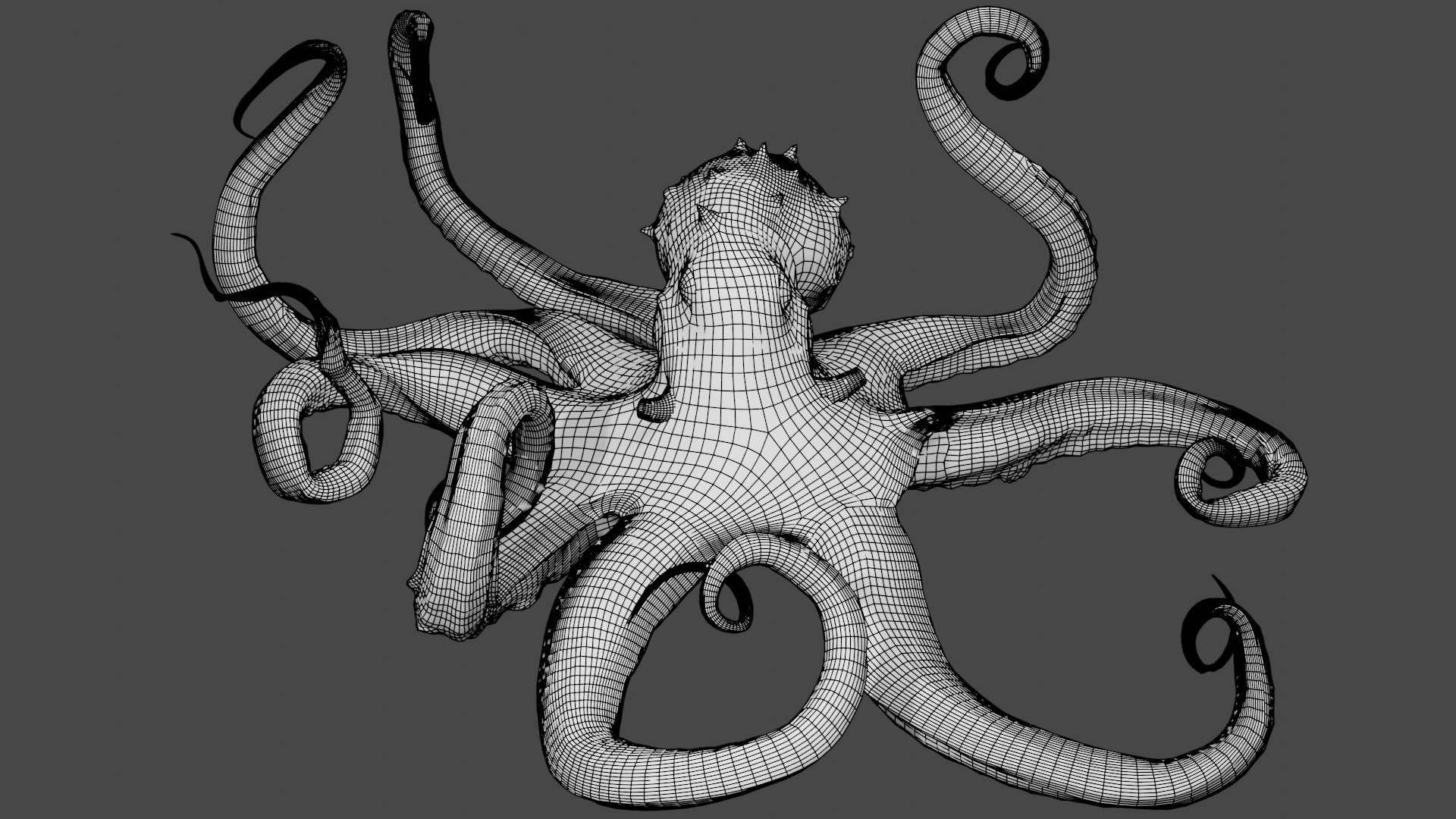 Giant Pacific Octopus 3D Model - TurboSquid 2034536
