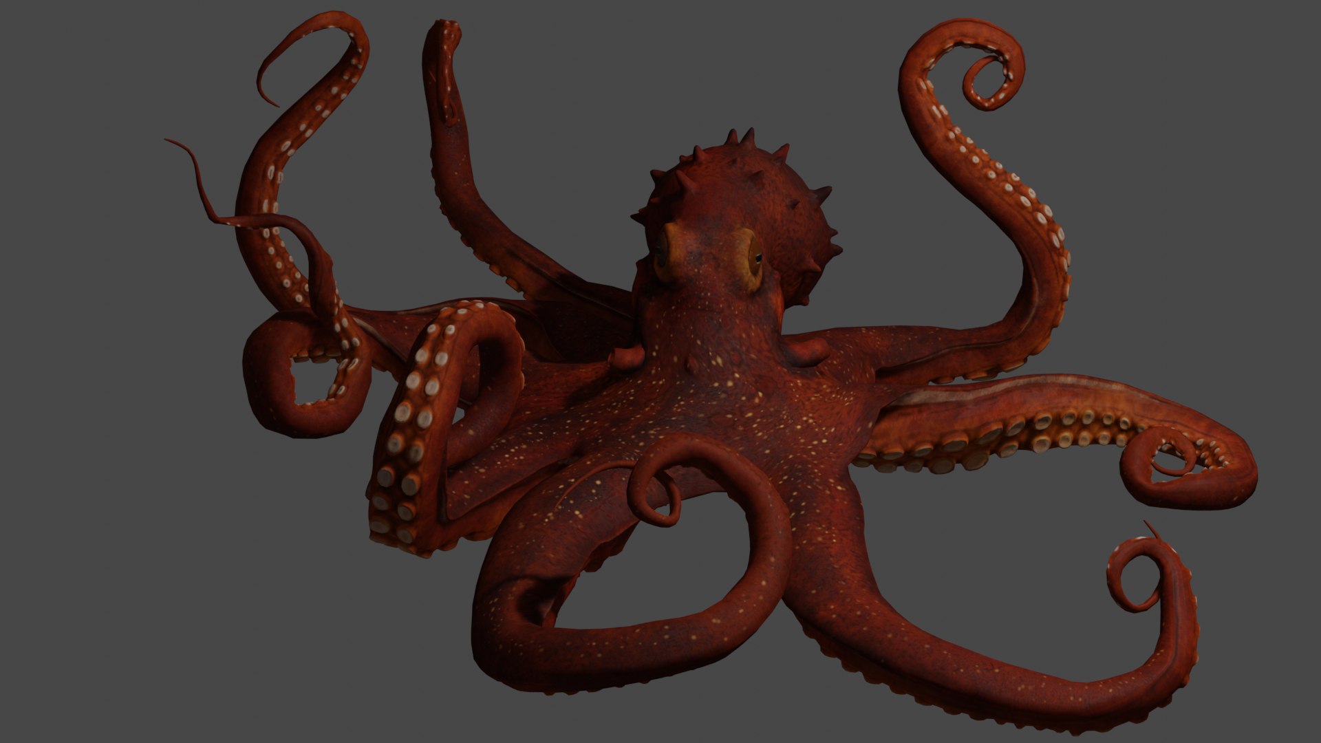 Giant Pacific Octopus 3D Model - TurboSquid 2034536
