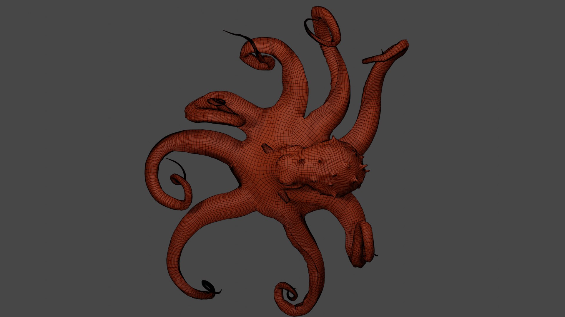 Giant Pacific Octopus 3D Model - TurboSquid 2034536