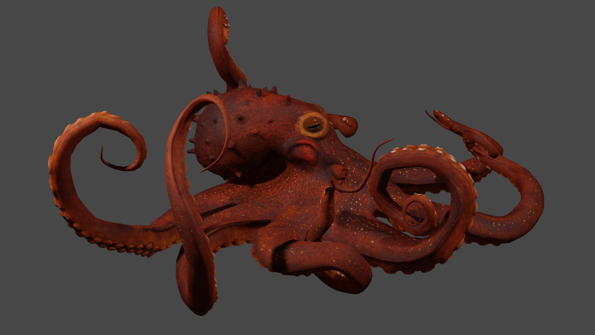 Giant Pacific Octopus 3D Model - TurboSquid 2034536