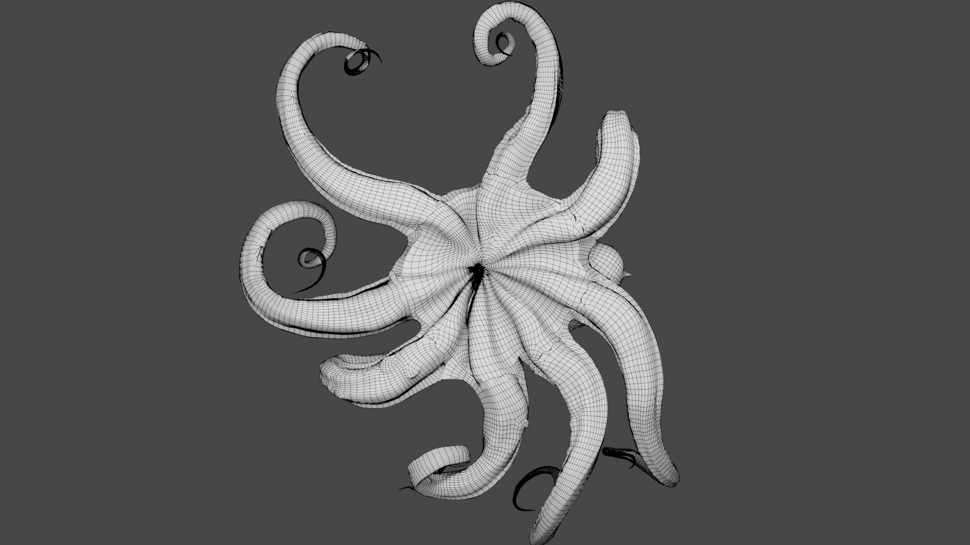 Giant Pacific Octopus 3D Model - TurboSquid 2034536