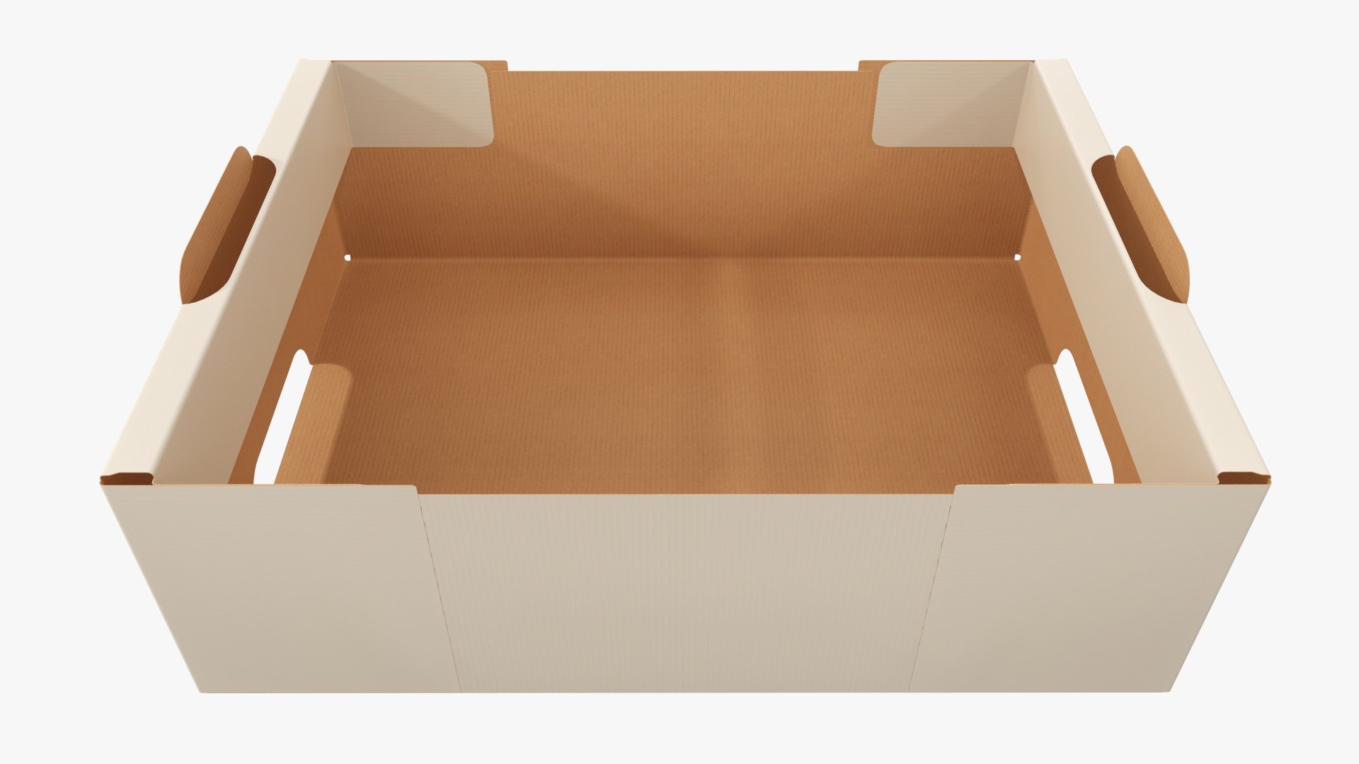 Tray Cardboard Retail 3D Model - TurboSquid 1607084