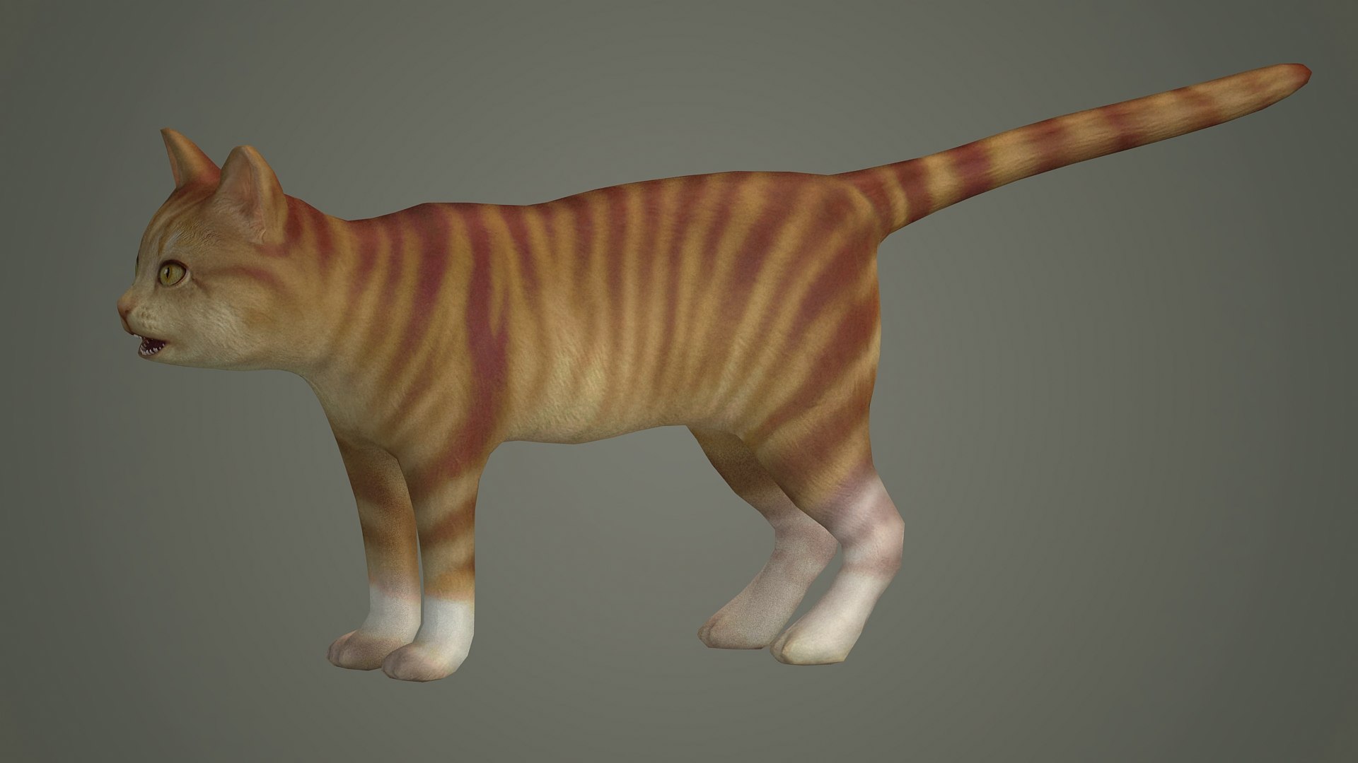 Cats Siamese Tabby Orange Kitty Animals Puppy Cat Mammal Model ...