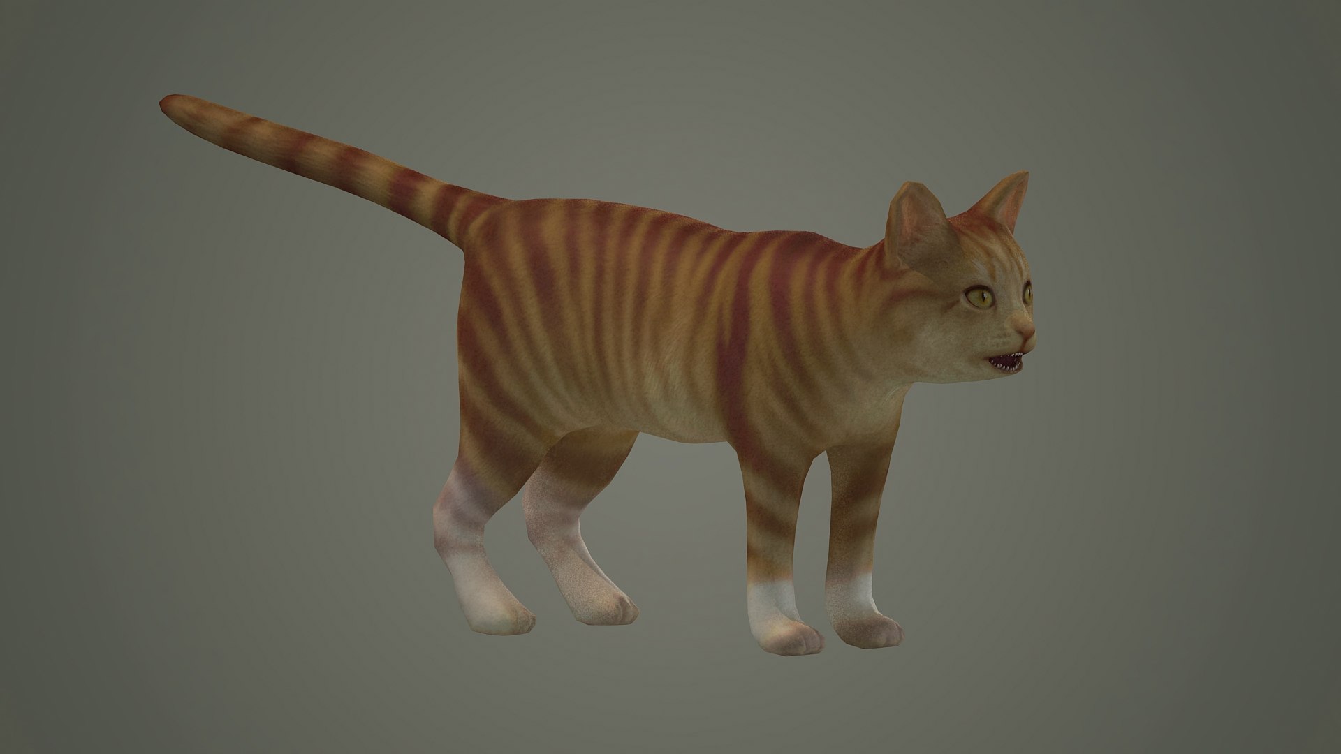 Cats Siamese Tabby Orange Kitty Animals Puppy Cat Mammal Model ...