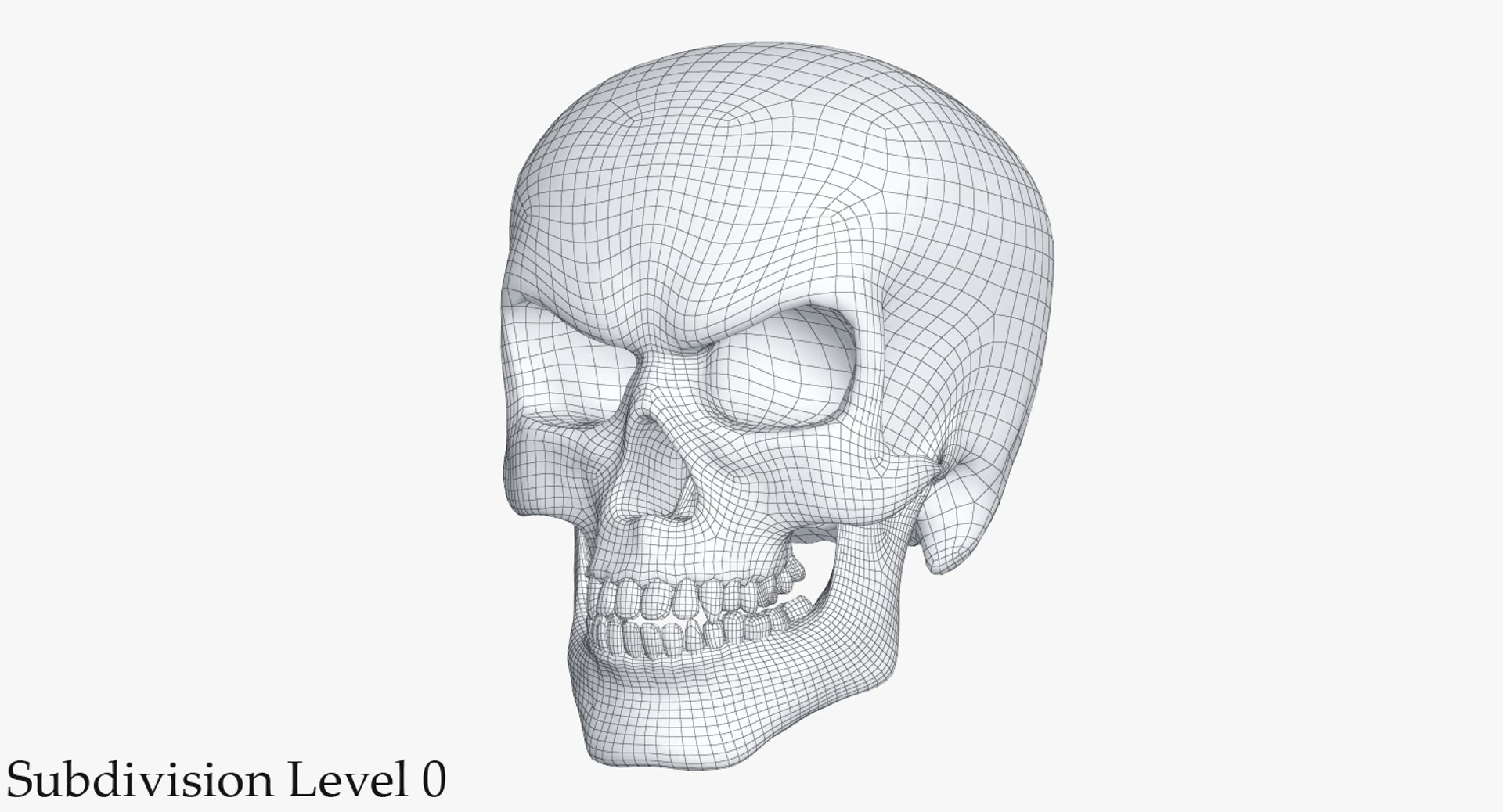 3d skull 3 model
