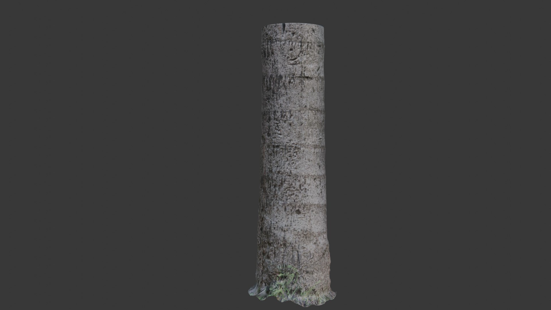 3D Model Realistic 3D Scanned Palm Tree Trunks - TurboSquid 2395529