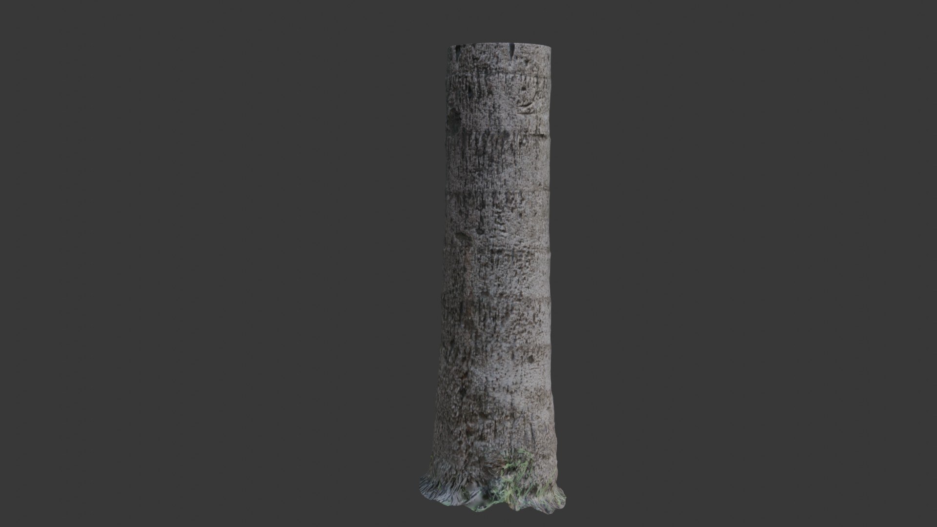 3D Model Realistic 3D Scanned Palm Tree Trunks - TurboSquid 2395529