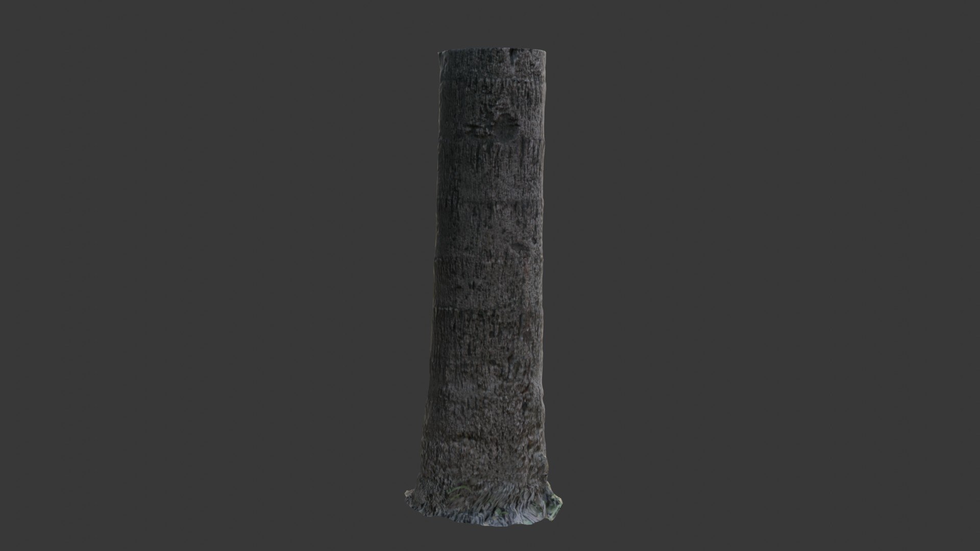 3D Model Realistic 3D Scanned Palm Tree Trunks - TurboSquid 2395529
