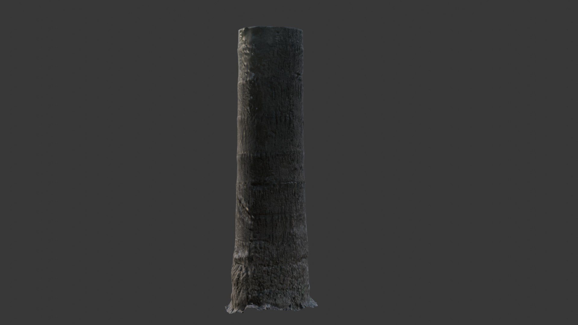 3D Model Realistic 3D Scanned Palm Tree Trunks - TurboSquid 2395529