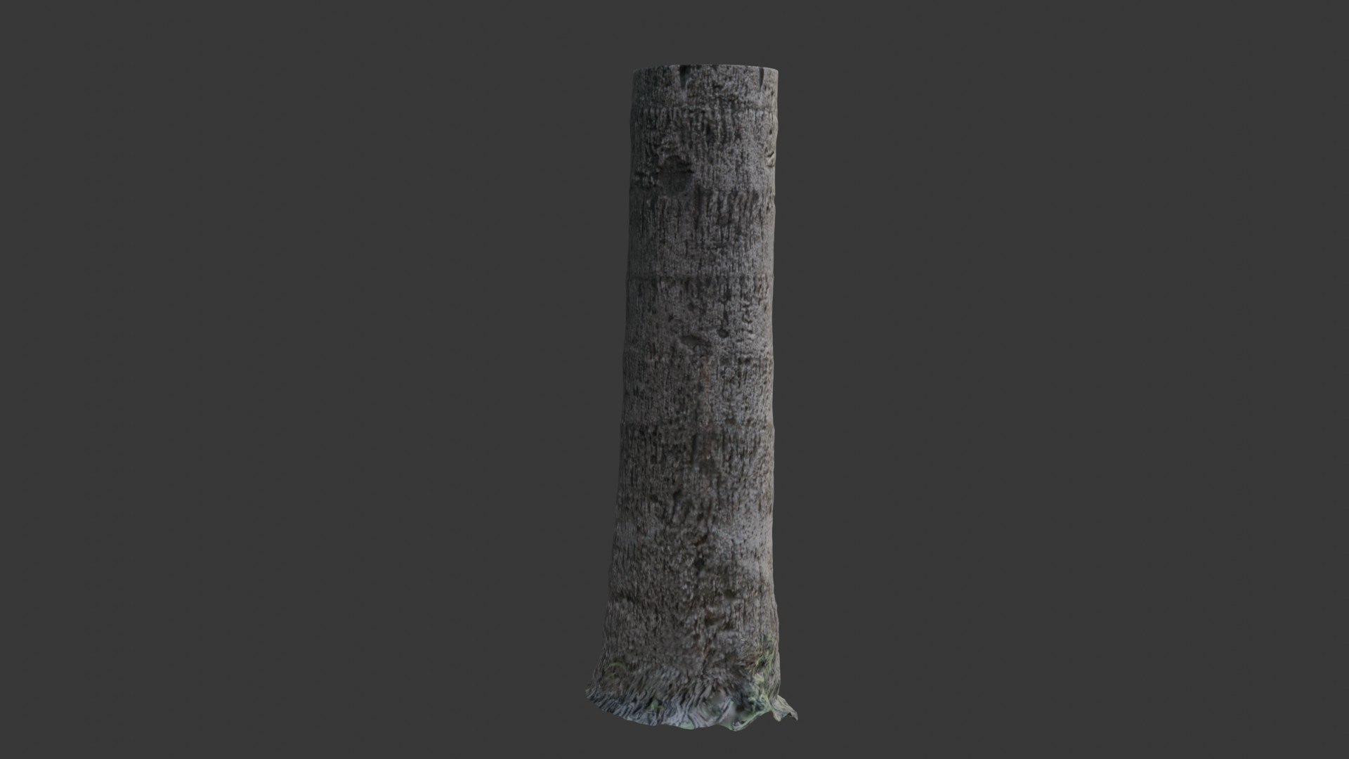 3D Model Realistic 3D Scanned Palm Tree Trunks - TurboSquid 2395529